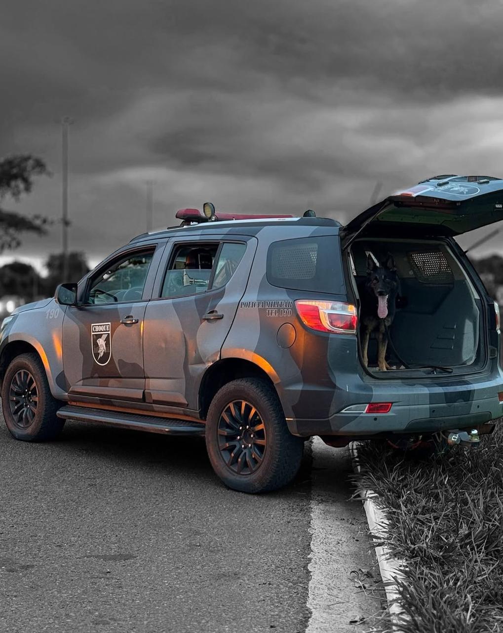 “Dama do Crime” é presa pelo Batalhão de Choque em Ponta Porã - Ponta ...